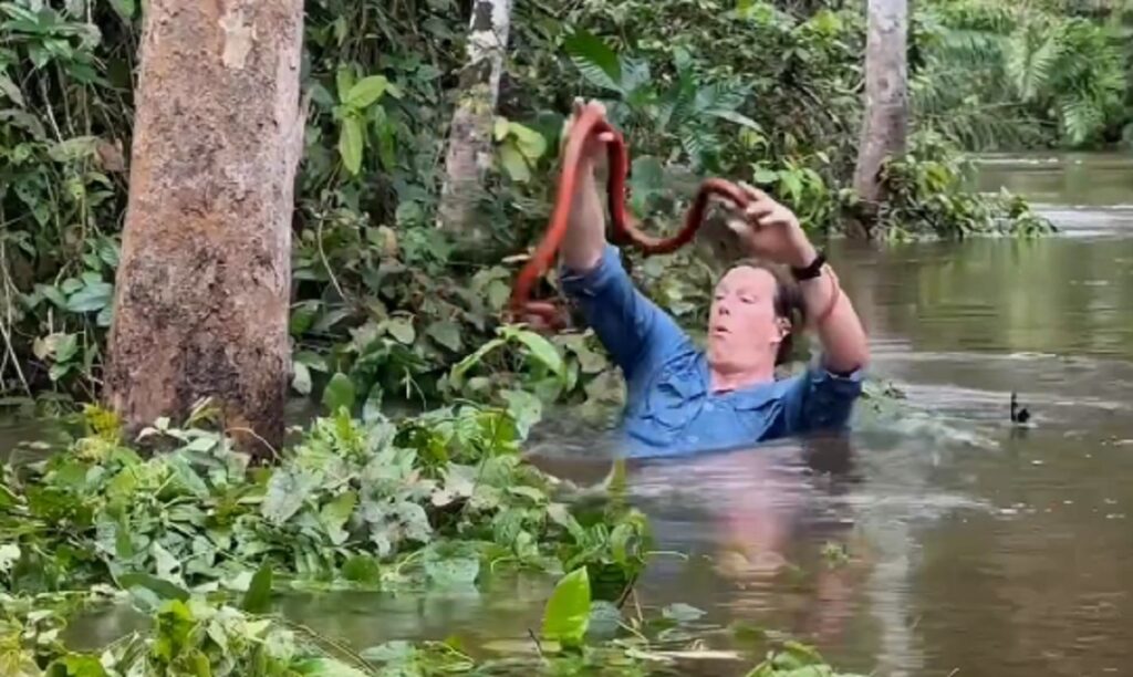 BEELDEN: Freek Vonk opnieuw aangevallen door wild beest