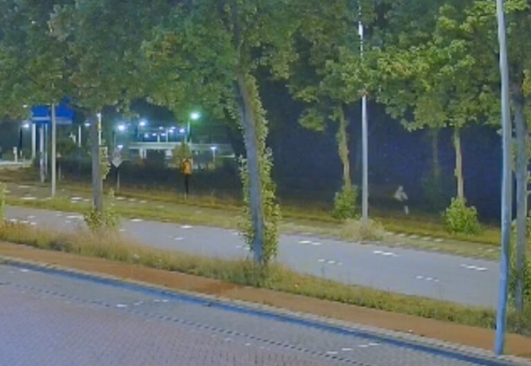 Zo ziet de dader van de moord op Lisa (17) eruit