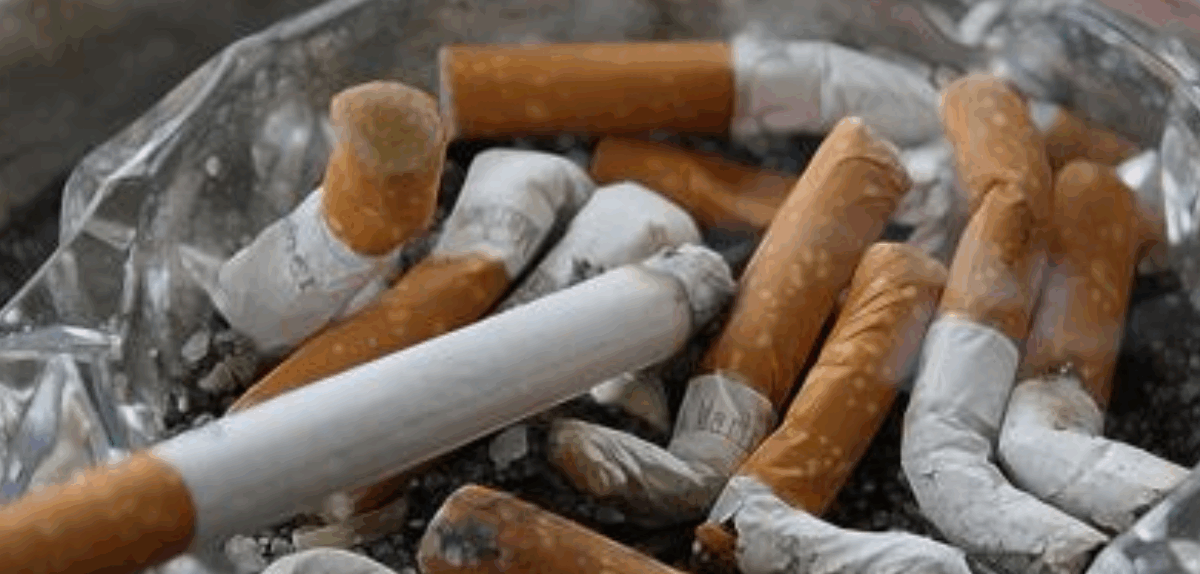 Chris Cauwenberghs bekend als Kabouter Lui overleden op 78-jarige leeftijd